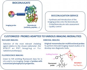 Bioconjugation services - www.chematech-mdt.com
